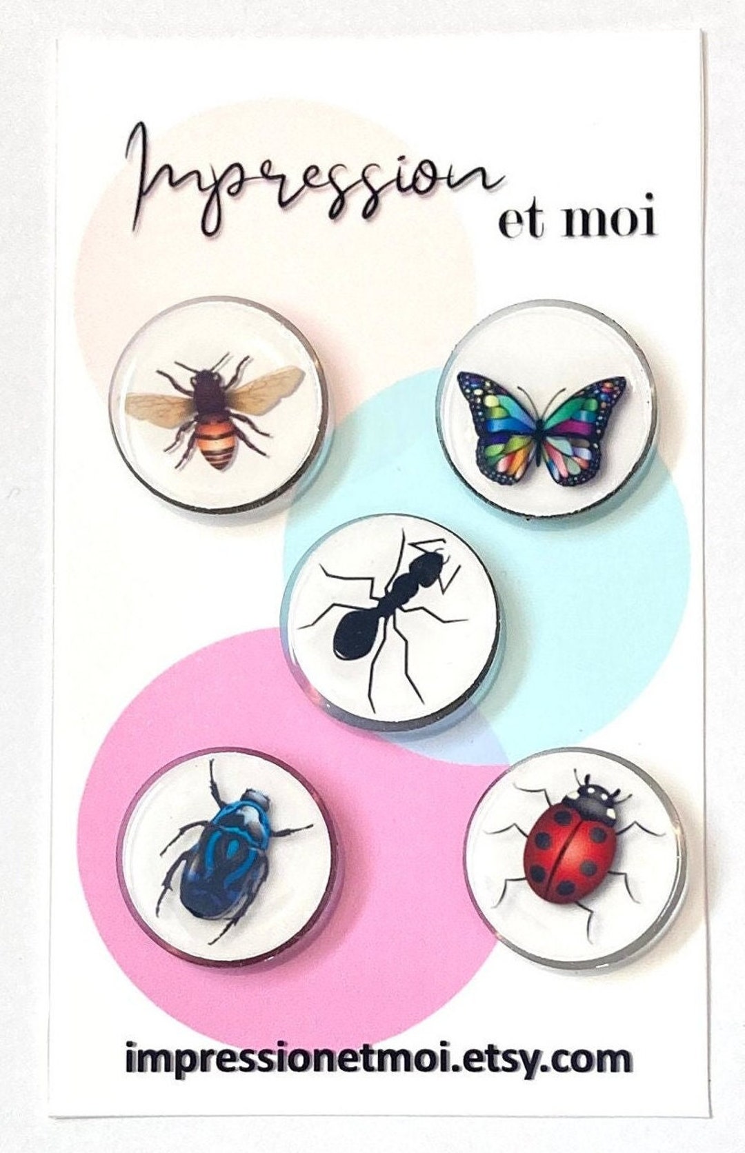 Insect Collection Magnets - Etsy