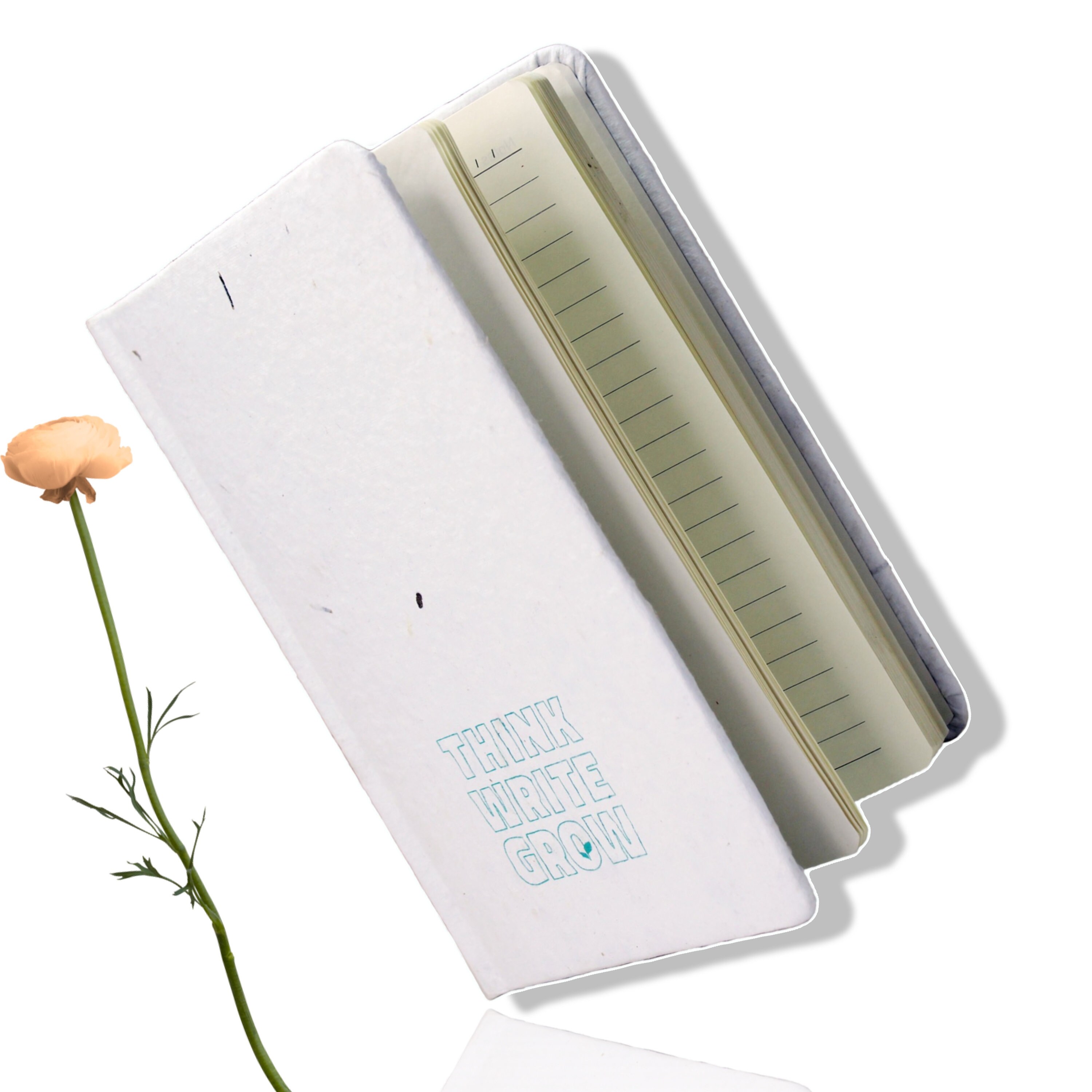 Plantable Diary 2023, Seed Paper PLANNER 2023, Personalised FULL YEAR Day Month Planner, 2023 ...