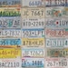 REALLY CRAPPY Set of 10 Authentic License Plates Worn Out, Banged Up ...