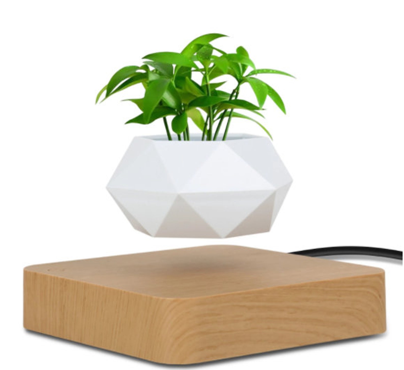 Flying Pot, Levitujici Kvetinac - Etsy