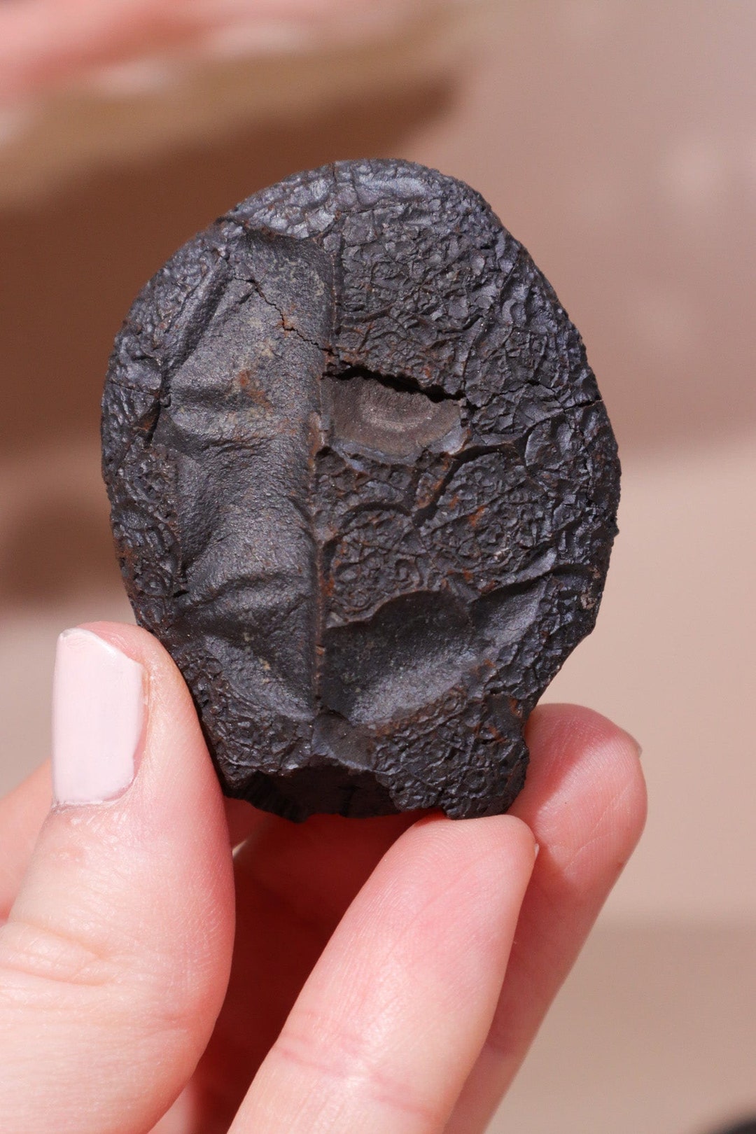 Dragon Scale Stone 56g, Sold as Seen, Mineral, Rock, Ancient, Rare ...