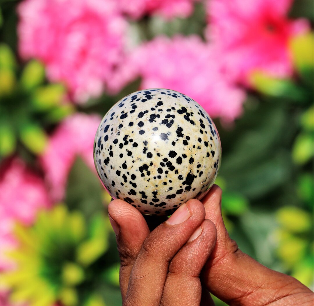 Mini 55MM Natural Dalmatian Jasper Meditation Spirit Aura Stone Hand ...