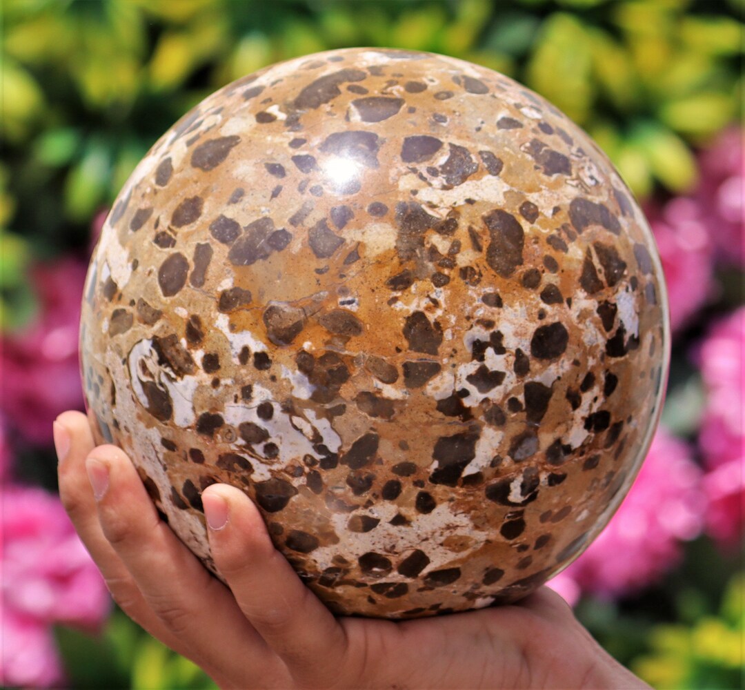 16CM Leopard Skin Jasper Mineral Specimen , Home Decoration , Energy ...