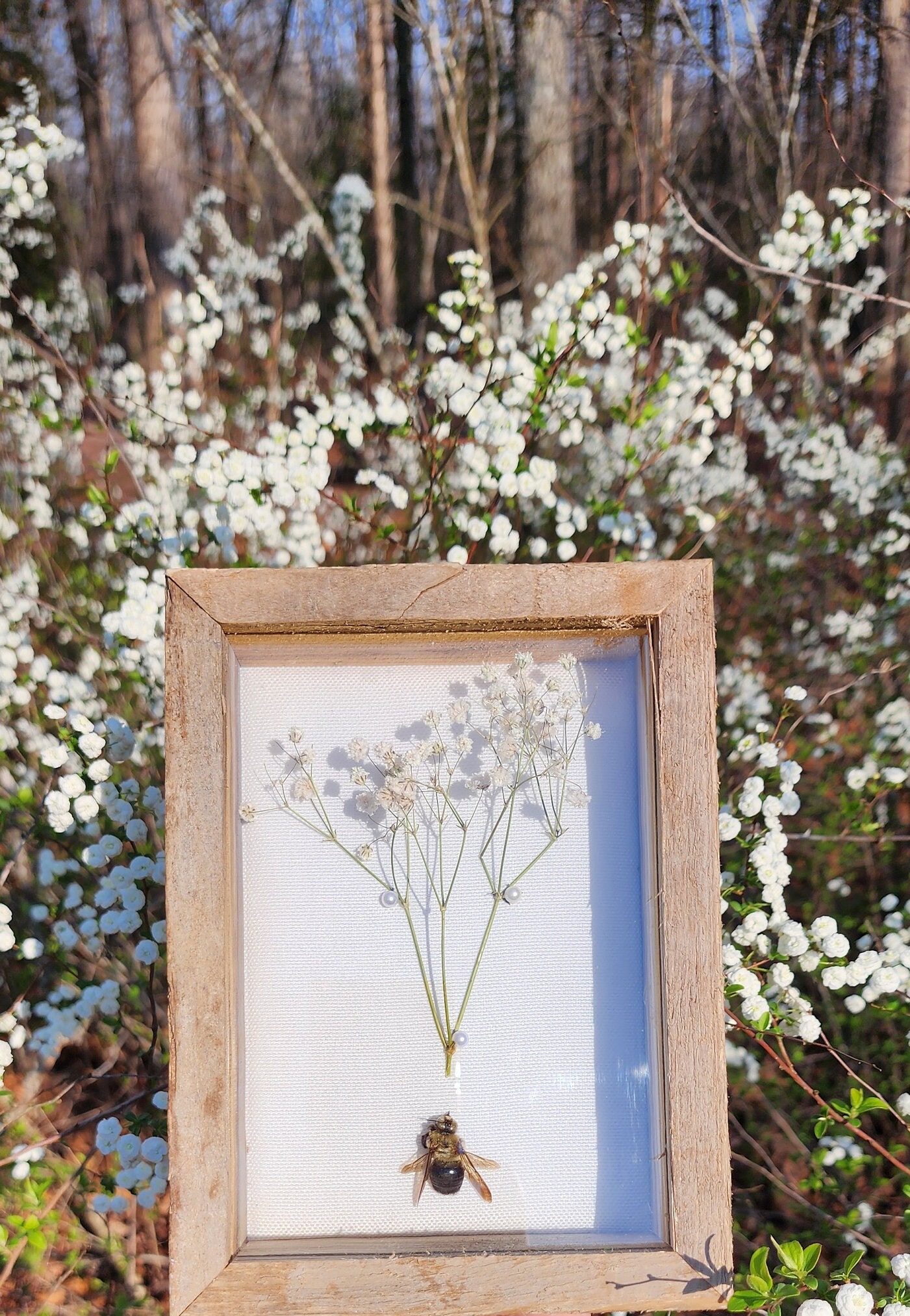 Minimalist Bumble Bee Display - Etsy