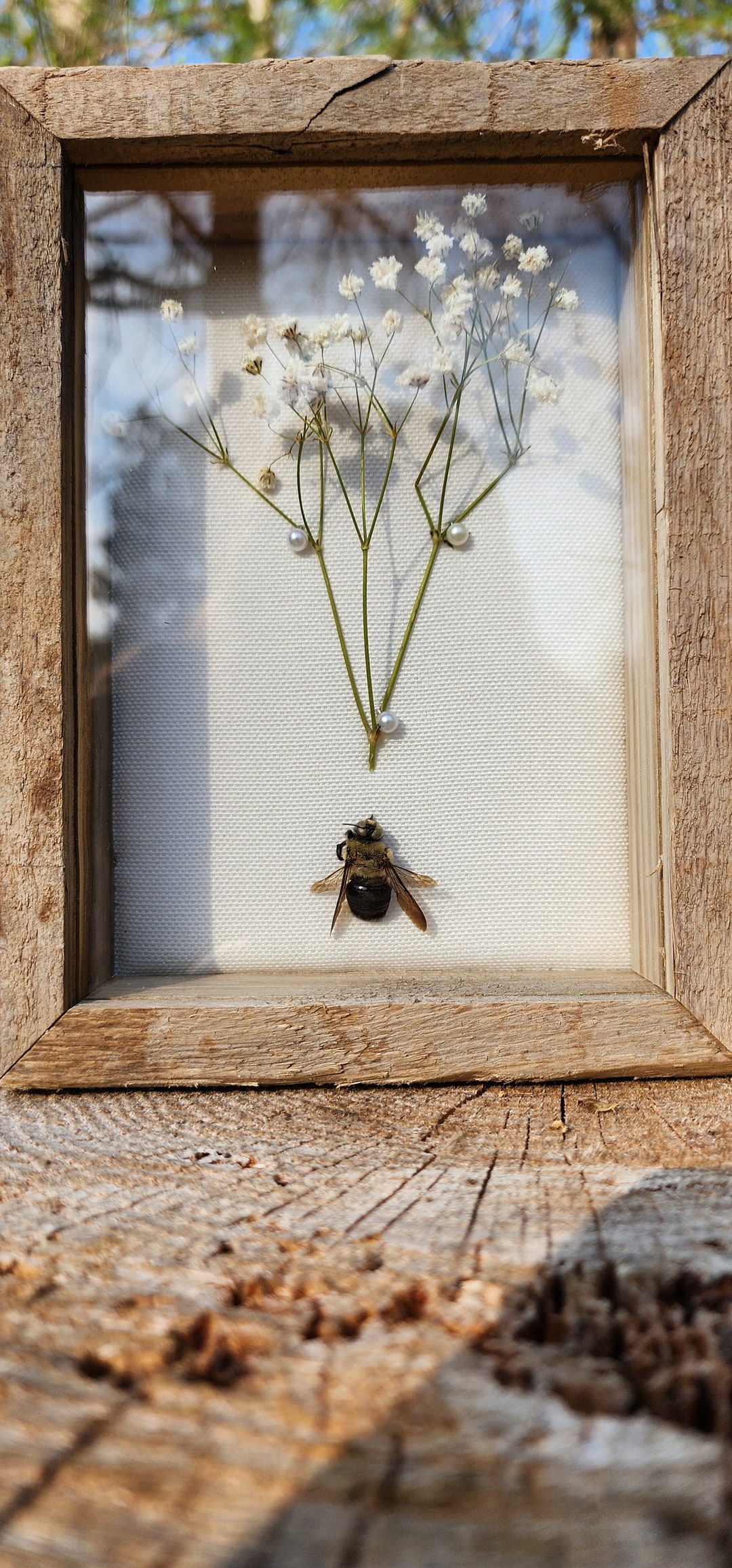 Minimalist Bumble Bee Display - Etsy