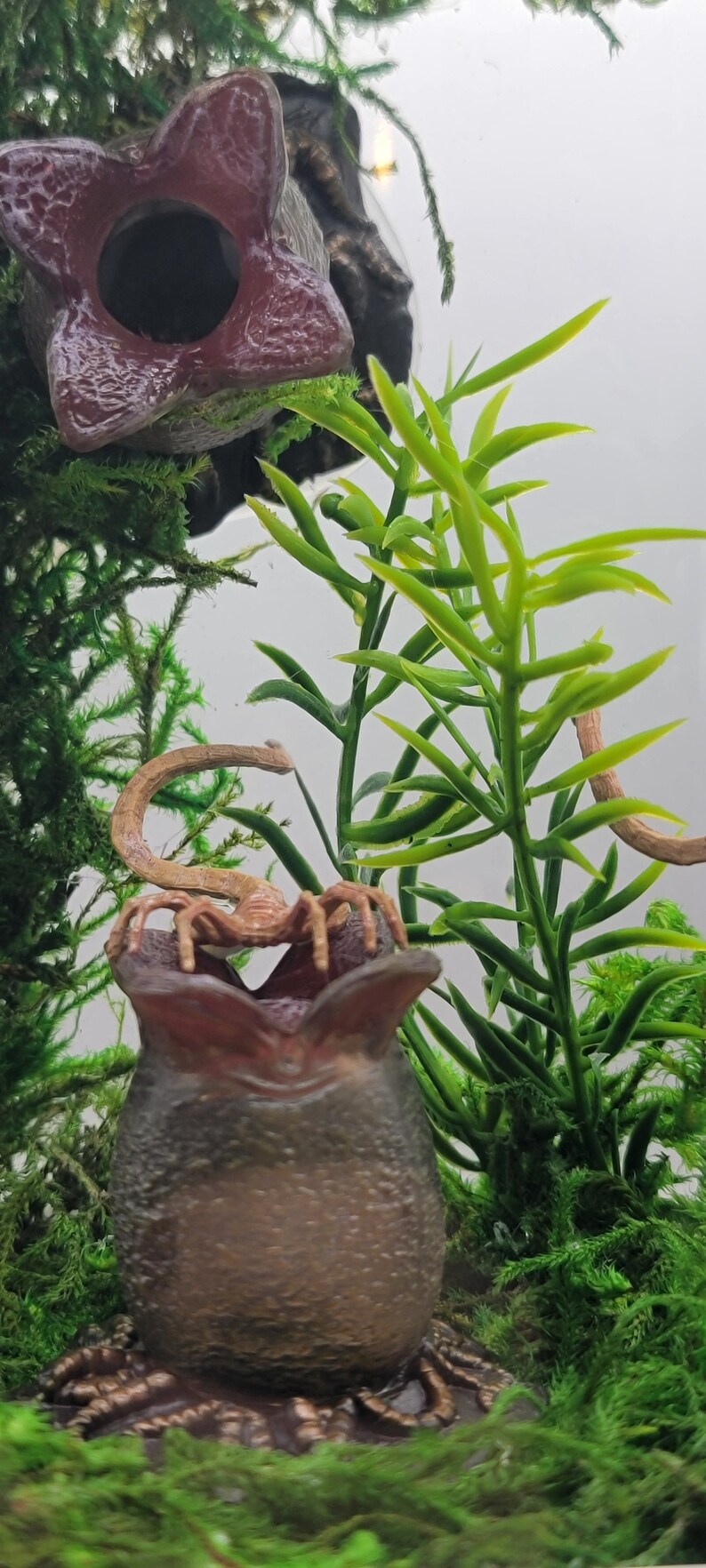 Xenomorph // Jumping Spider Enclosure // Alien Spider Home// Spider ...