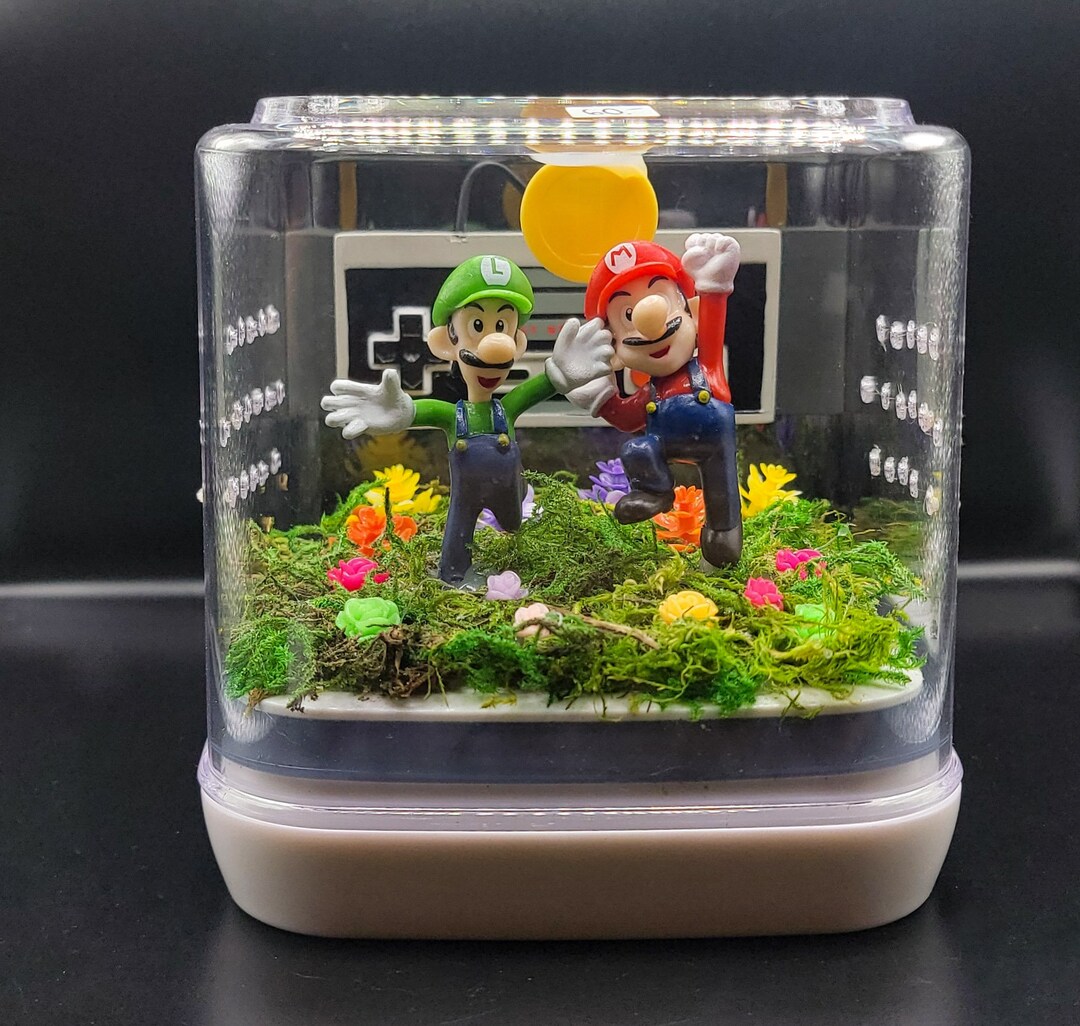 Mario Jumping Spider Enclosure // Spider Homes// Mario and Luigi Spider ...