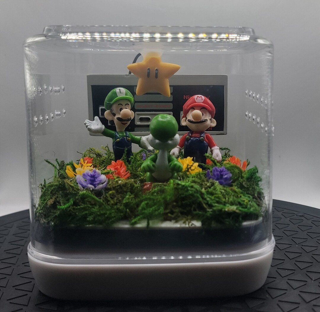 Mario Jumping Spider Enclosure // Spider Homes// Yoshi Spider Home 4 ...