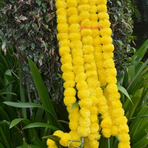 SALE ON 5 Pc Indian Yellow Artificial Decorative Marigold Flower ...