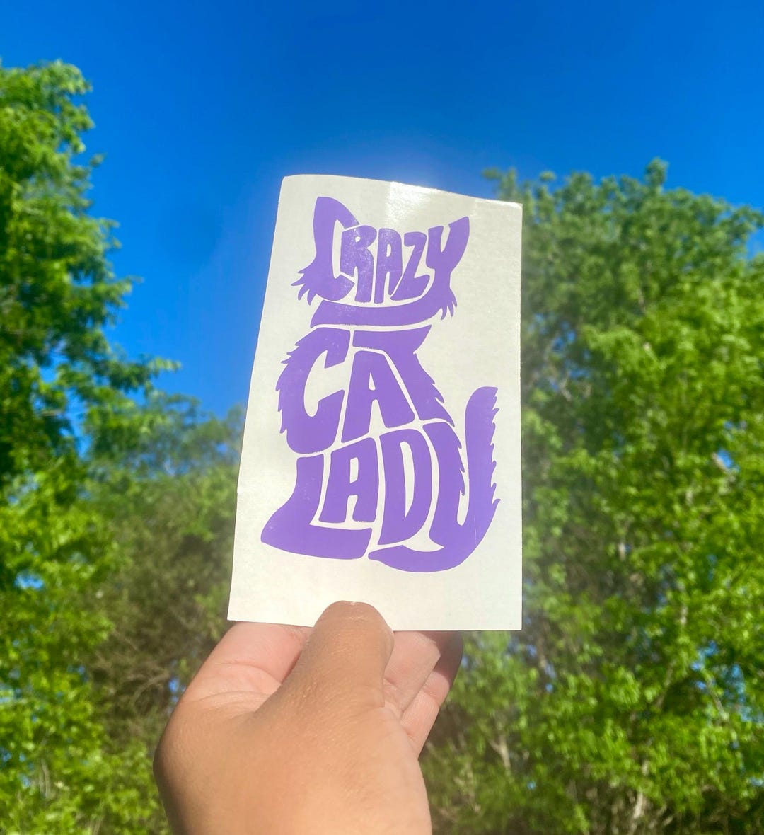 Crazy Cat Lady | Permanent Decal - Etsy