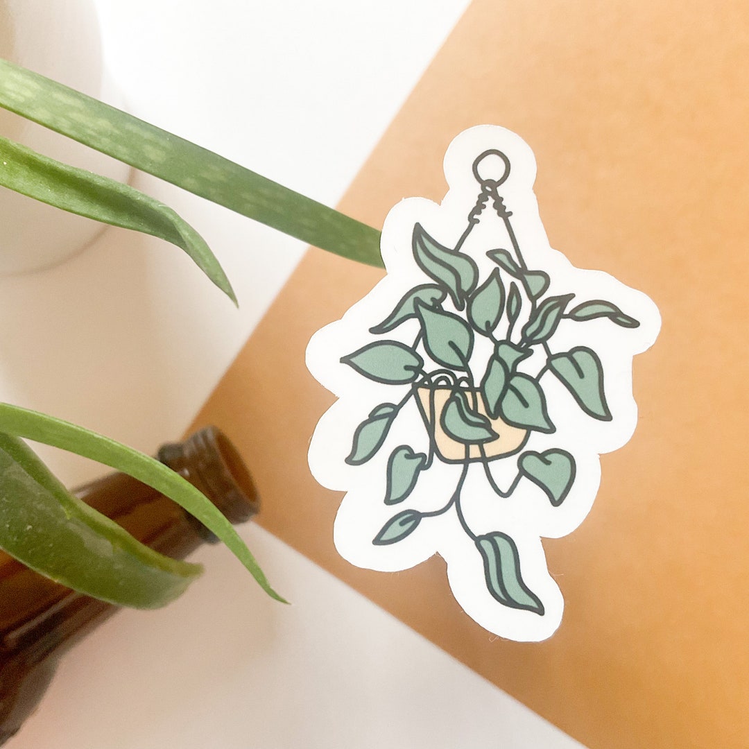 Cute Hanging Plant Sticker - Etsy