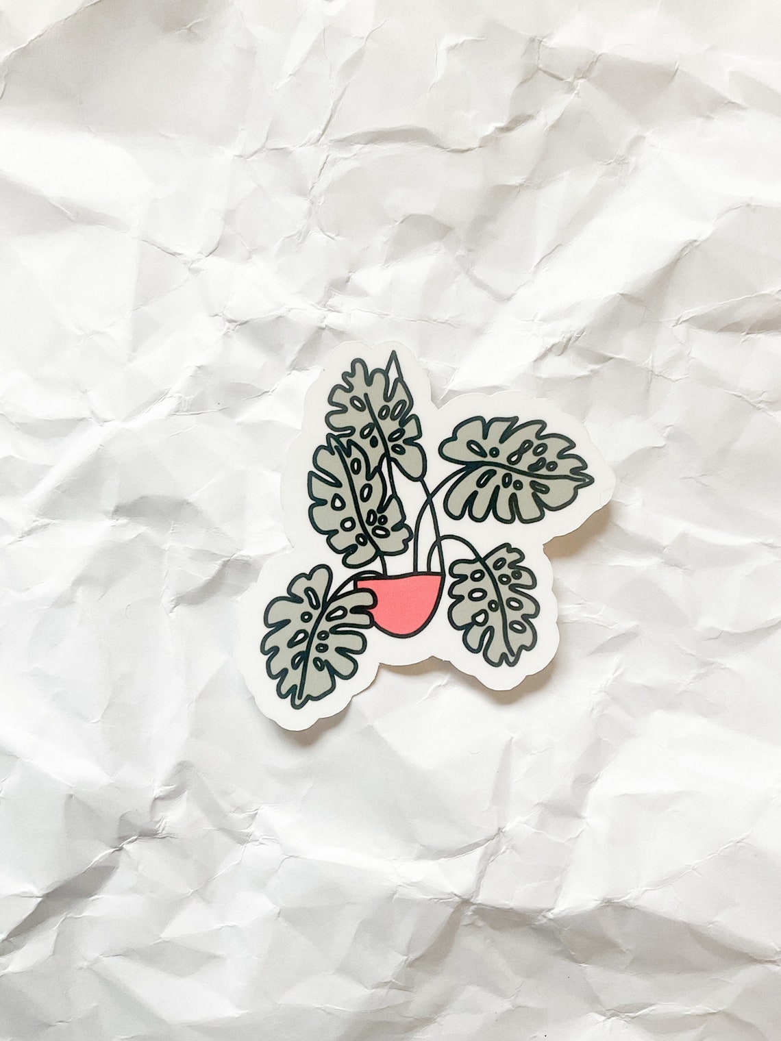 Monstera Plant Sticker (aesthetic Plant Sticker) - Etsy
