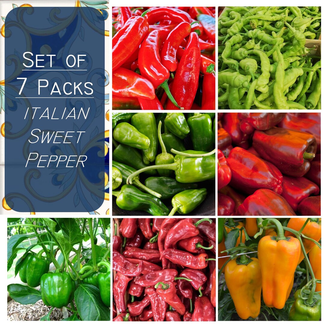 Plus de 490 graines - Lot de 7 paquets - Graines de poivron italien ...