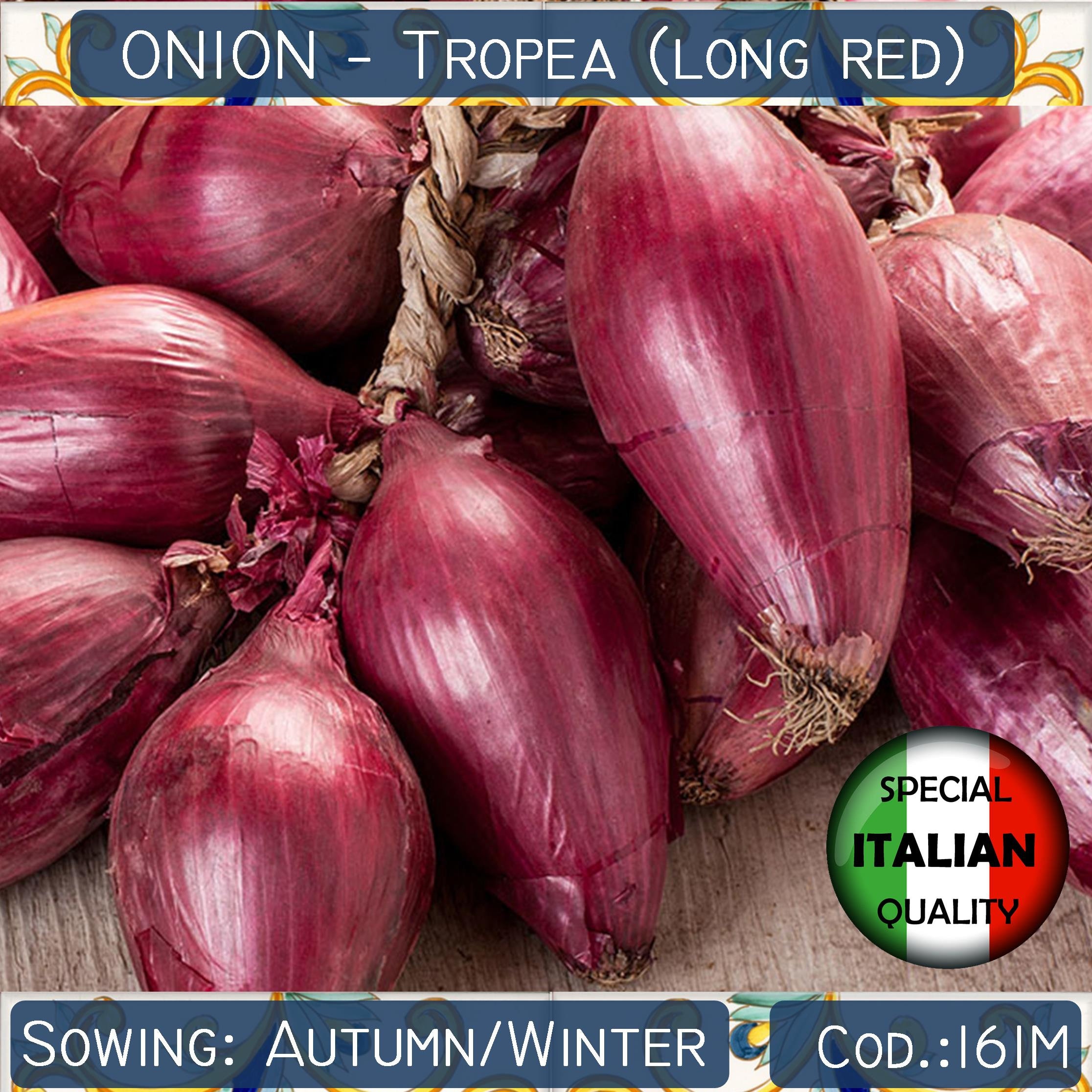 100 Tropea Onion Long Red Seeds Italian Onion Seeds Italian - Etsy Canada