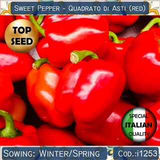 AstraFarm - Etsy