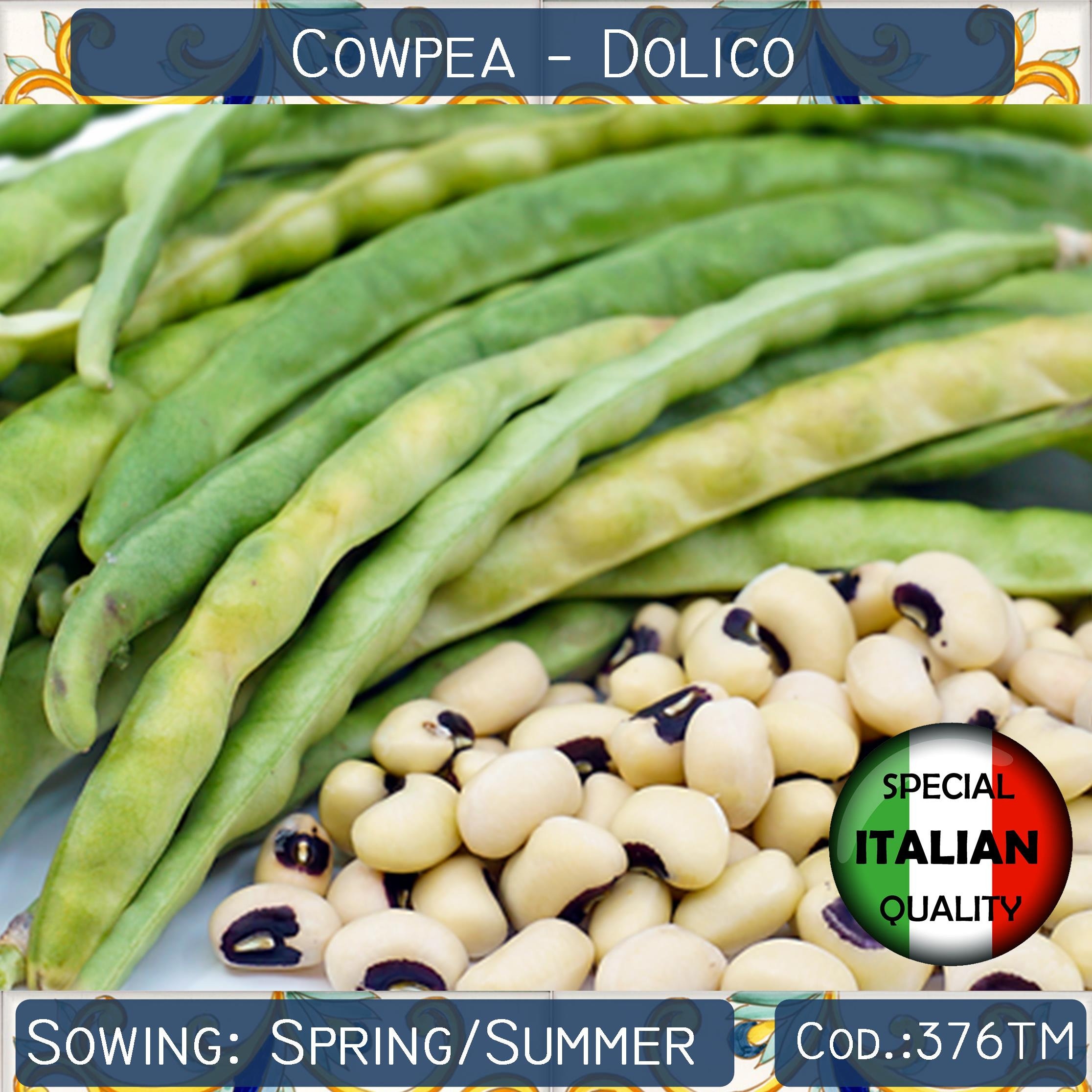 Cowpea Seeds