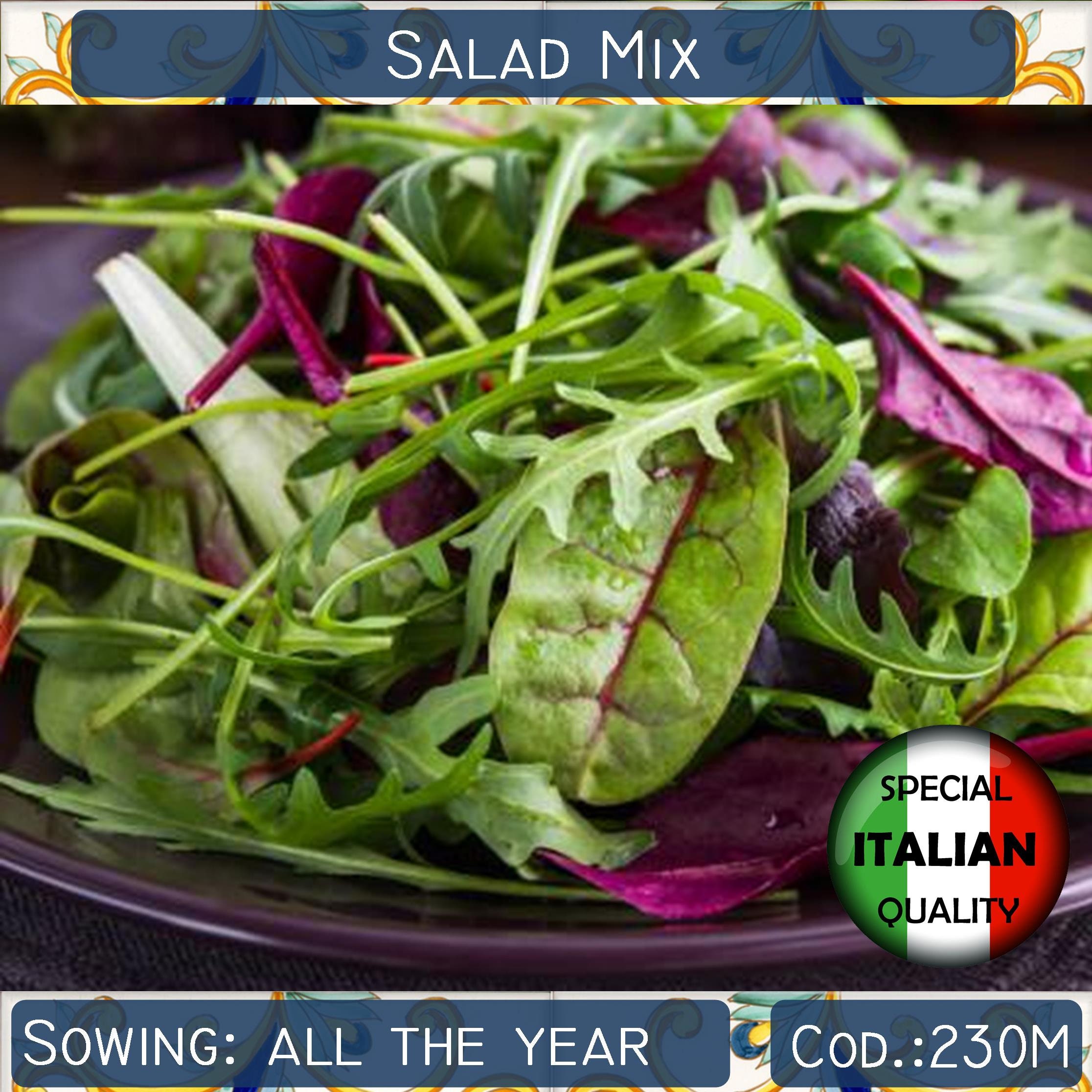 250 Mesclun Mix Seeds Salad Mix Seeds Mixed Green Lettuce - Etsy Denmark