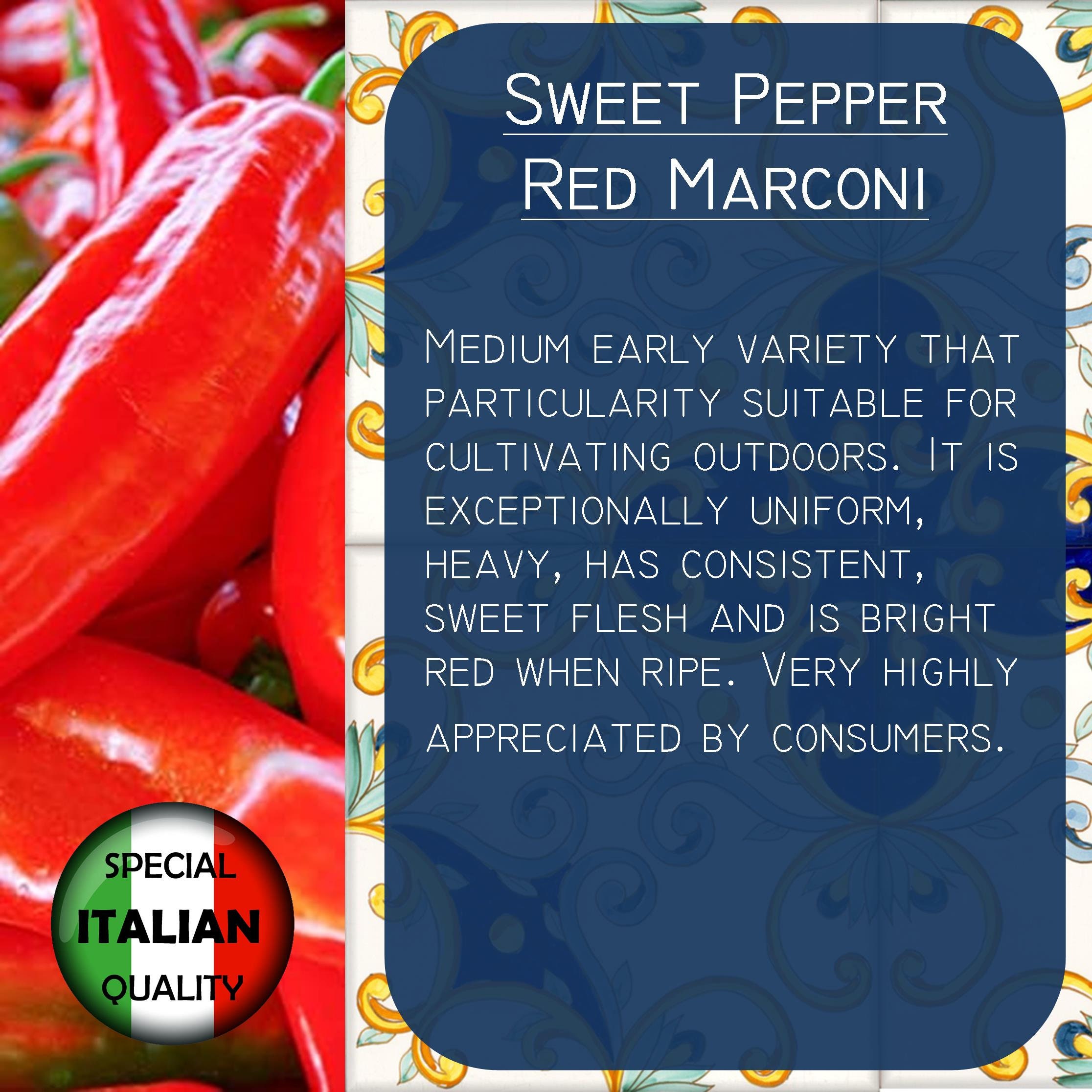 70 Sweet Pepper Red Marconi Seeds Italian Pepper Seeds - Etsy India