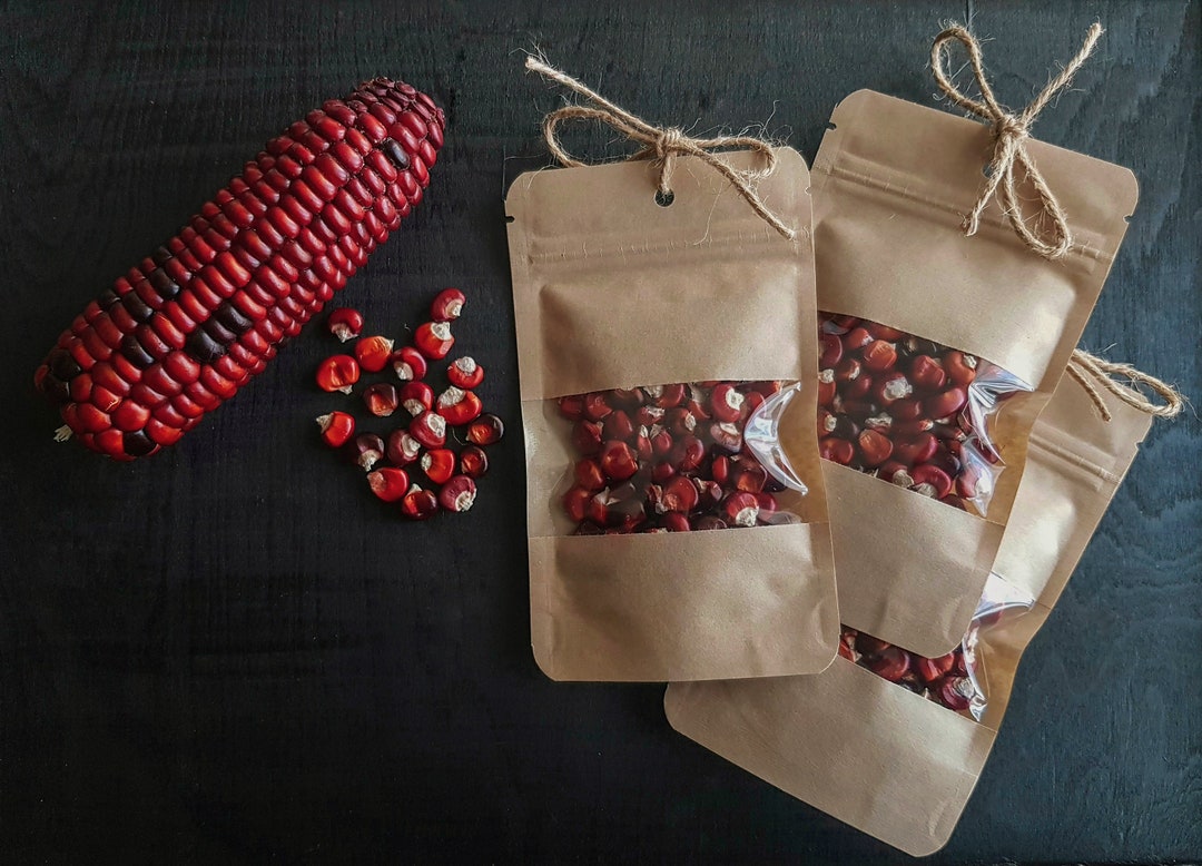 Más de 50 semillas de maíz de cosecha propia de Red Mandan Natural ...