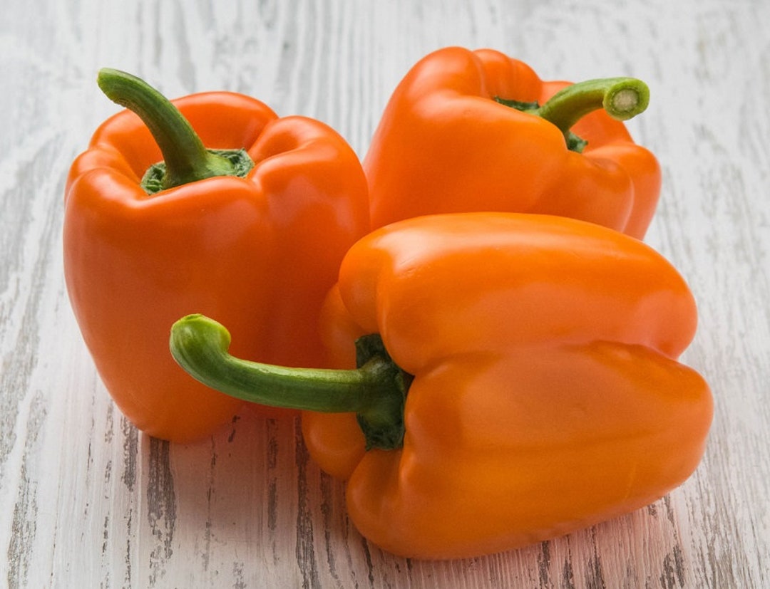 25 Etiuda Orange Blocky Bell Pepper Heirloom, All Natural, Not GMO ...