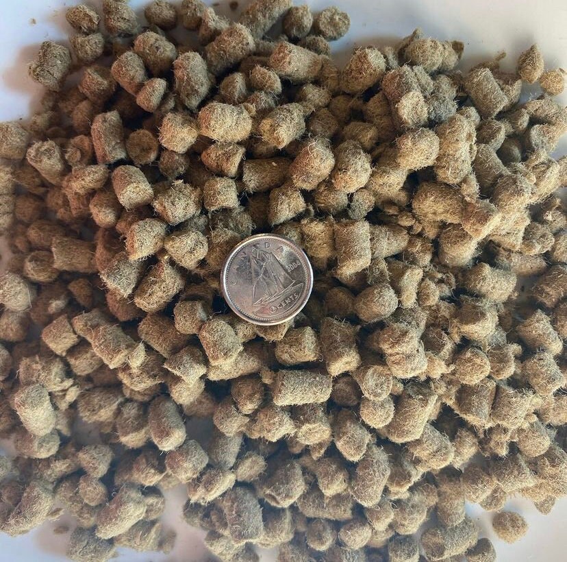 Sheep Wool Pellets - Bulk 25 Litre Case - Etsy