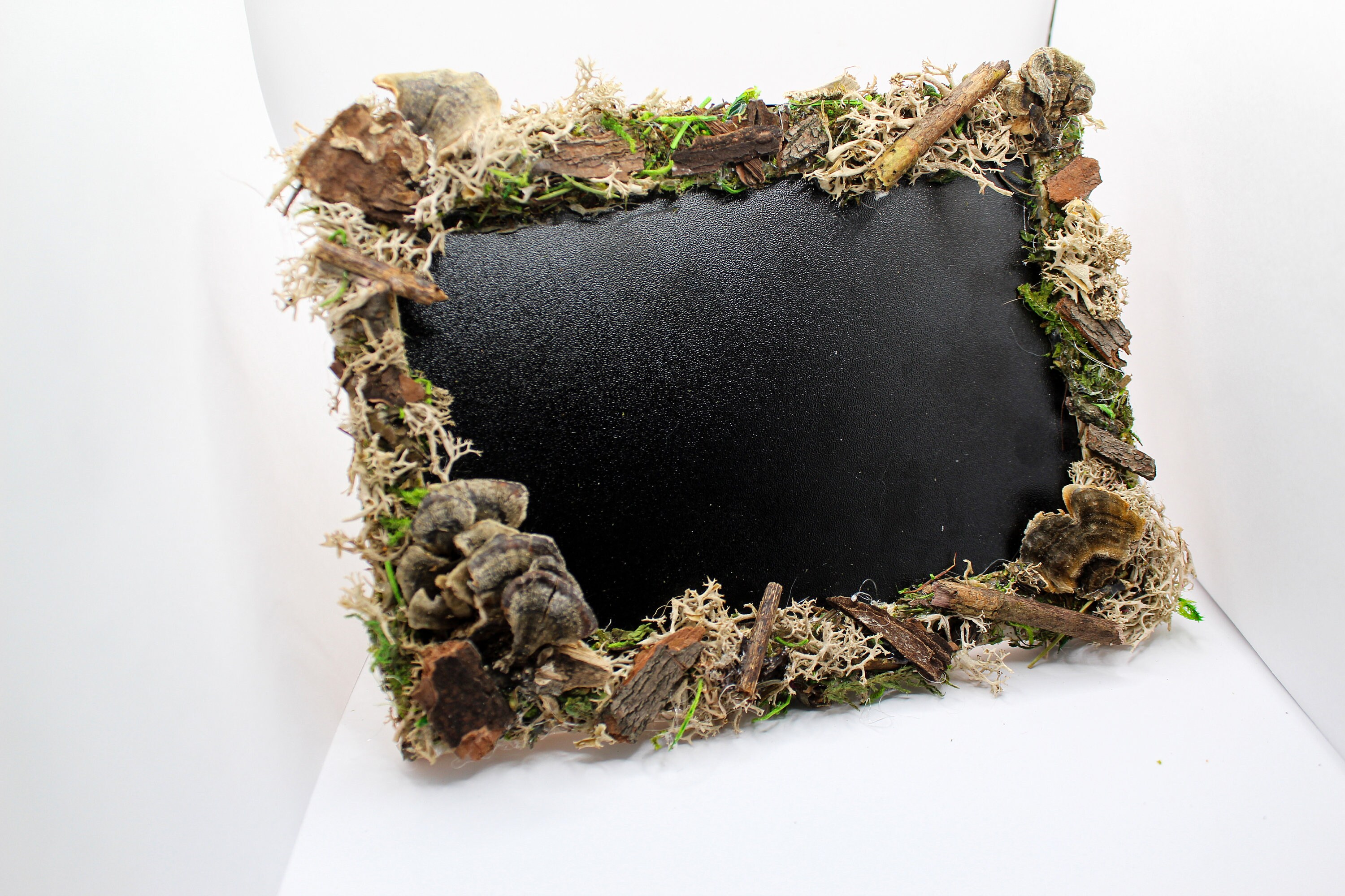 Mini Mushroom Chalkboard | Mushroom Art | Moss Art | Wood Art | 5x7 in.