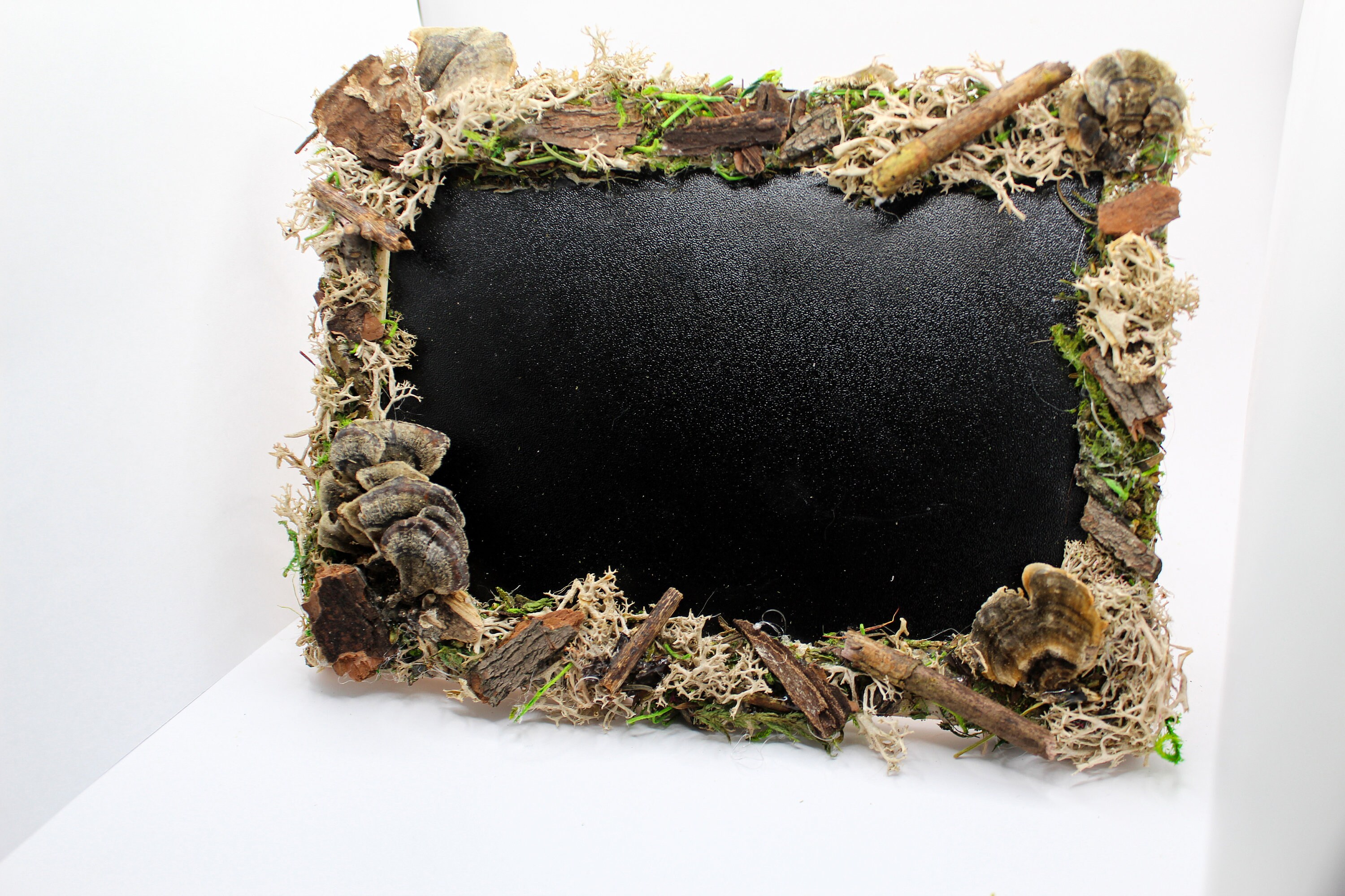 Mini Mushroom Chalkboard | Mushroom Art | Moss Art | Wood Art | 5x7 in.