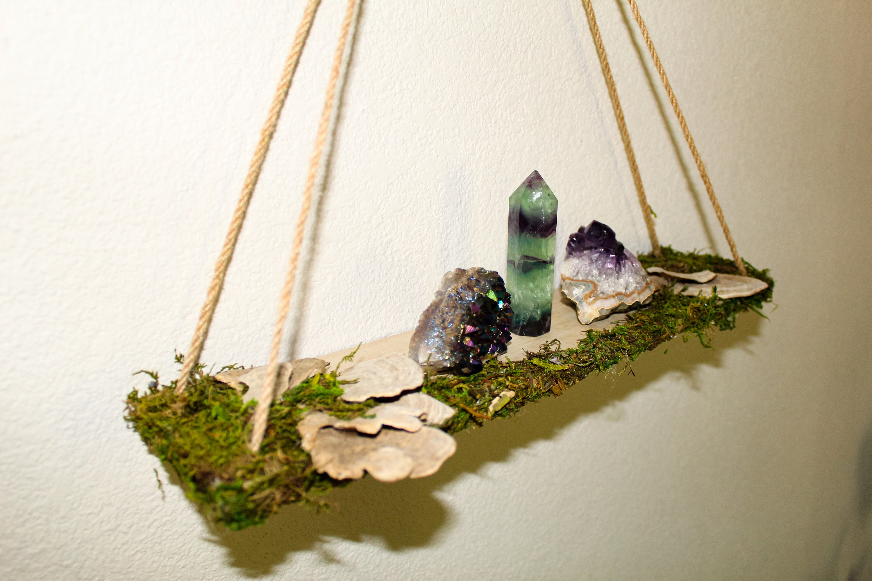 Mushroom Shelf Display Shelf Crystal Shelf Mushroom Art Moss
