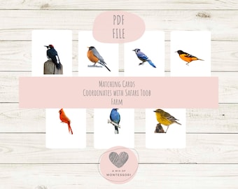 Farm Matching Cards for Safari Toobs Montessori Language Cards - Etsy