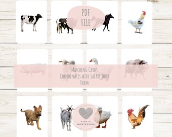 Montessori Farm Animal 3 Part Cards - Etsy Ireland