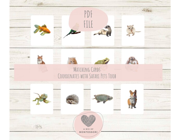 Pets Matching Cards for Safari Toobs - Etsy