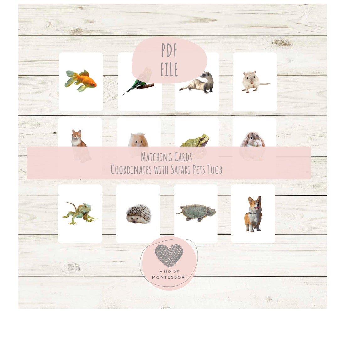 Pets Matching Cards for Safari Toobs - Etsy