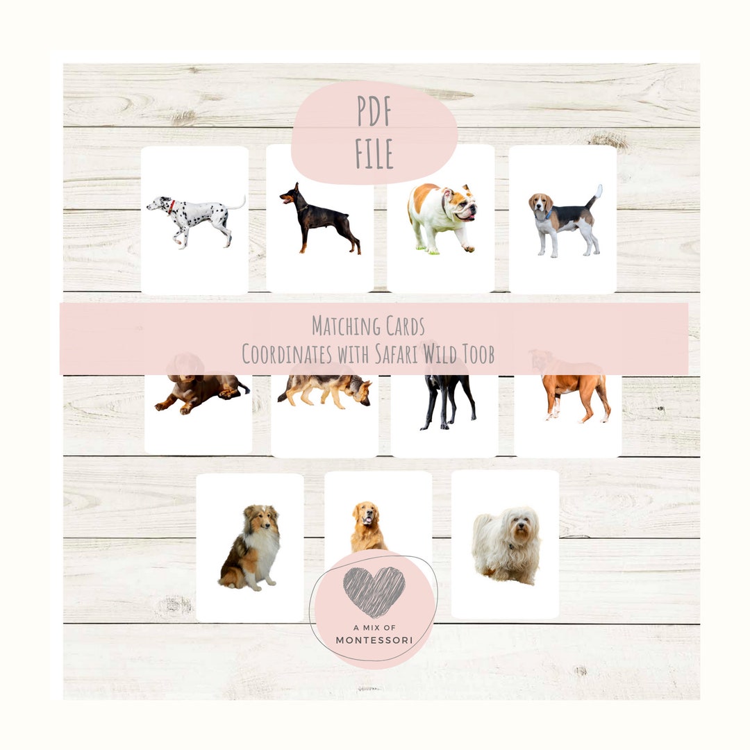Dogs Toob Matching Cards for Safari Toobs - Etsy