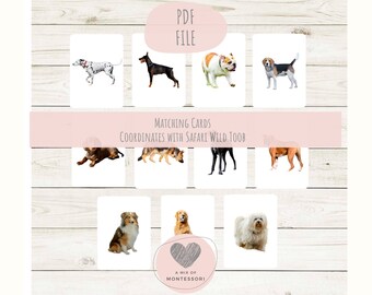 Pets Matching Cards for Safari Toobs - Etsy