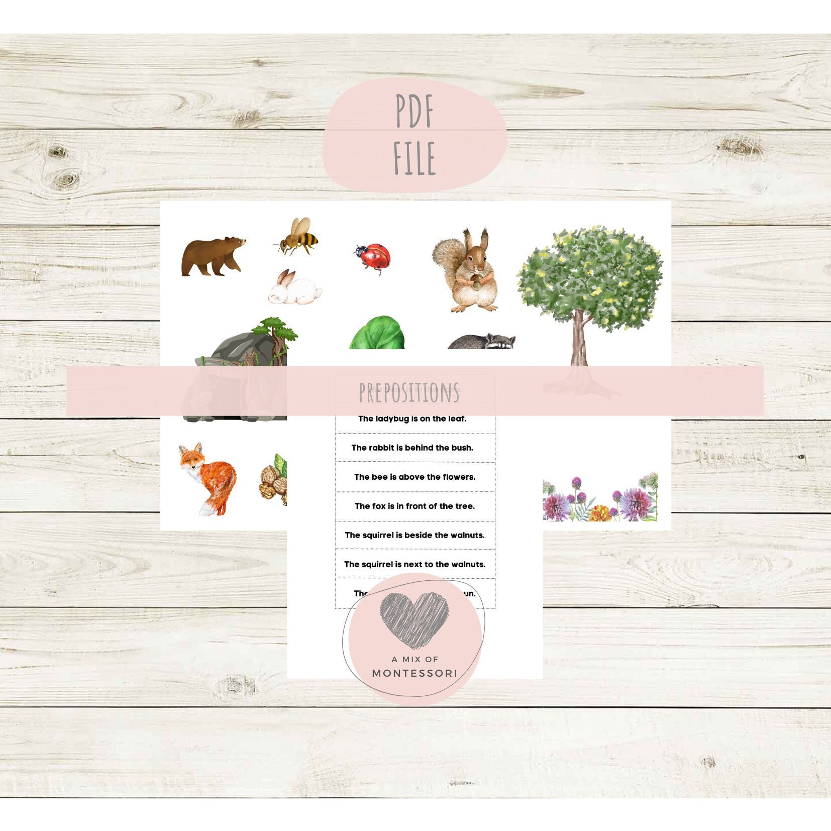 Tree Squirrel Prepositions