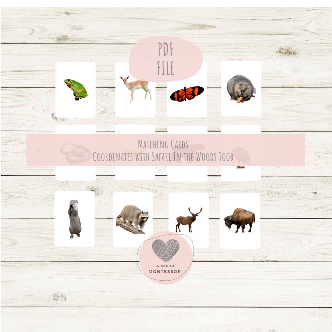 In the Woods Matching Cards for Safari Toobs - Etsy