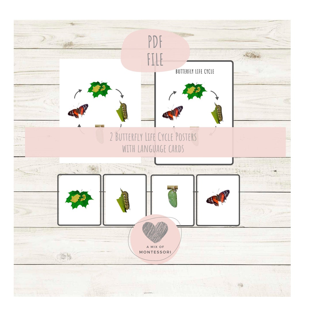 Butterfly Life Cycle Posters and Language Cards Montessori - Etsy