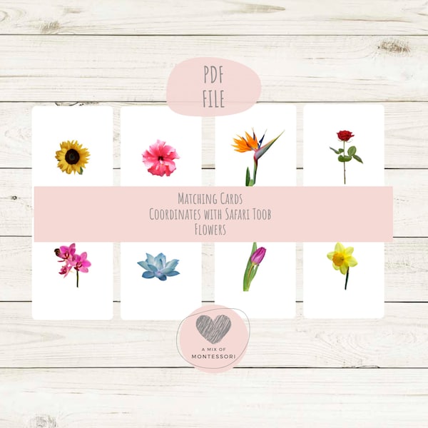 Flower Matching Cards - Etsy