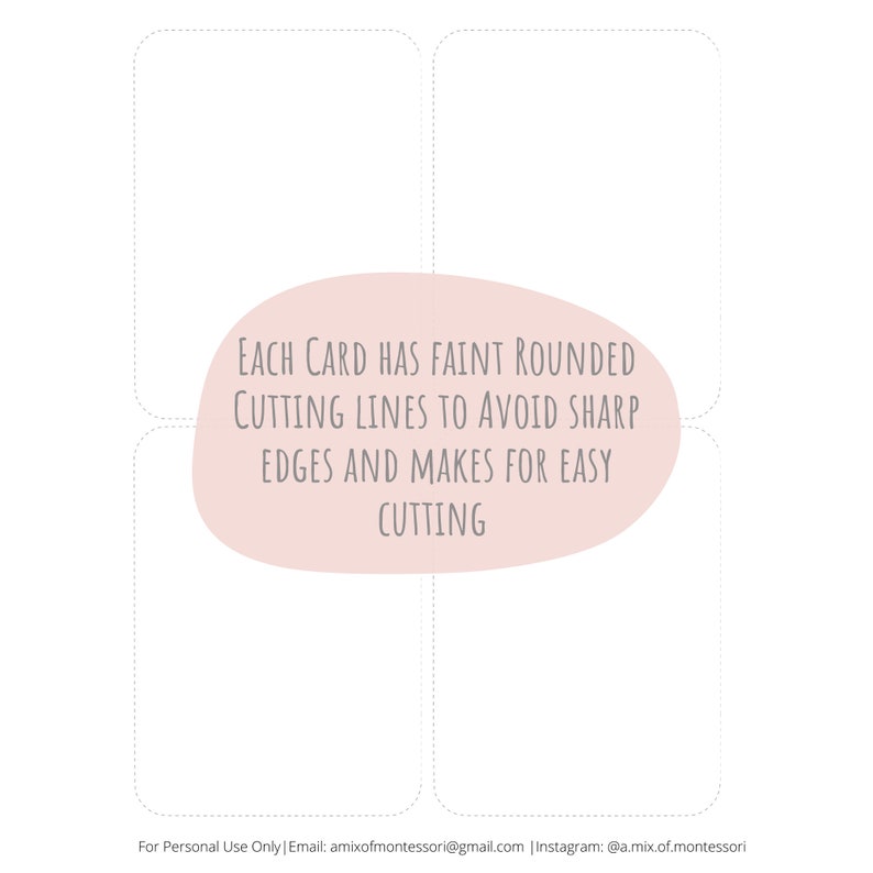 Insect Matching Cards for Safari Toobs - Etsy