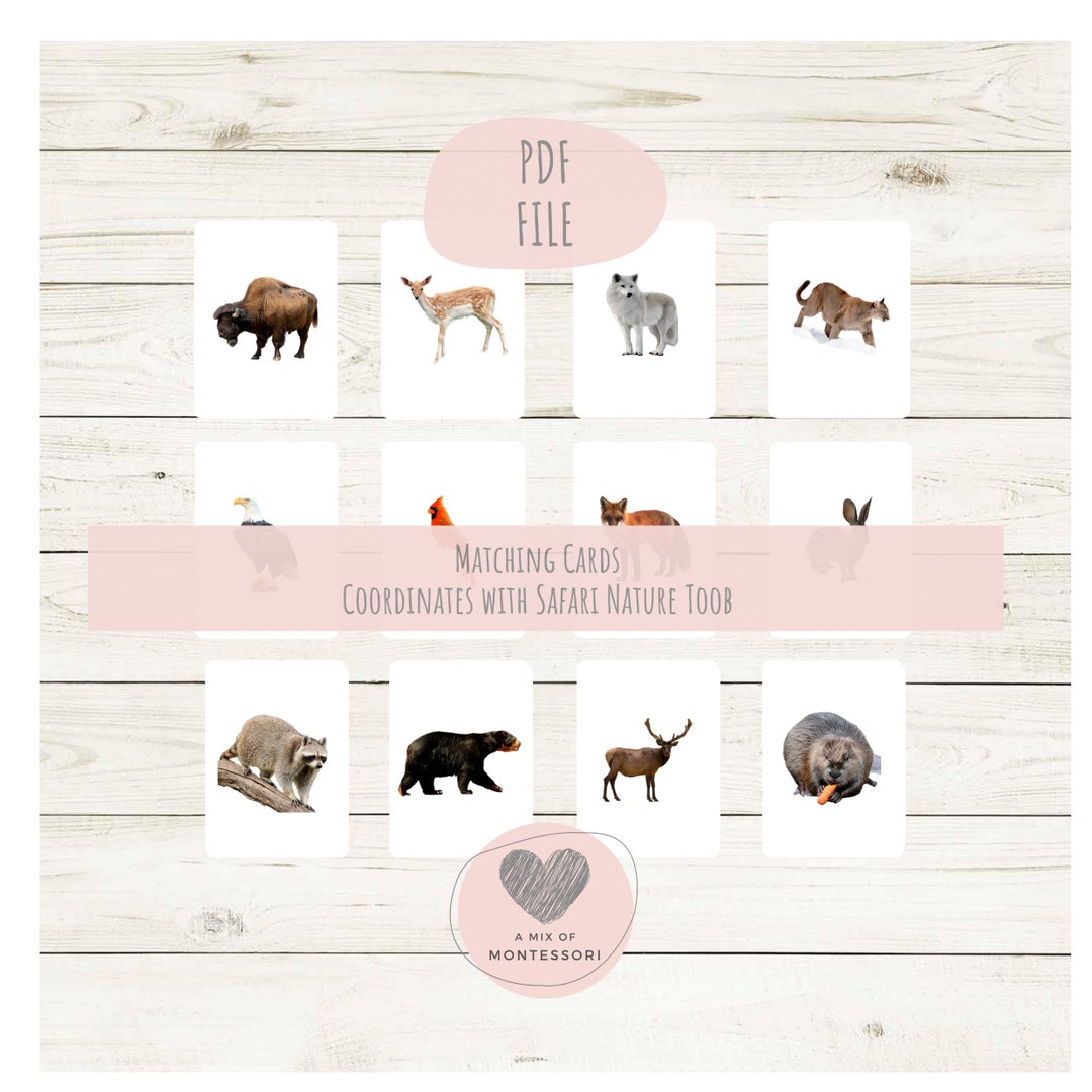 Nature Matching Cards for Safari Toobs Montessori Language Cards - Etsy