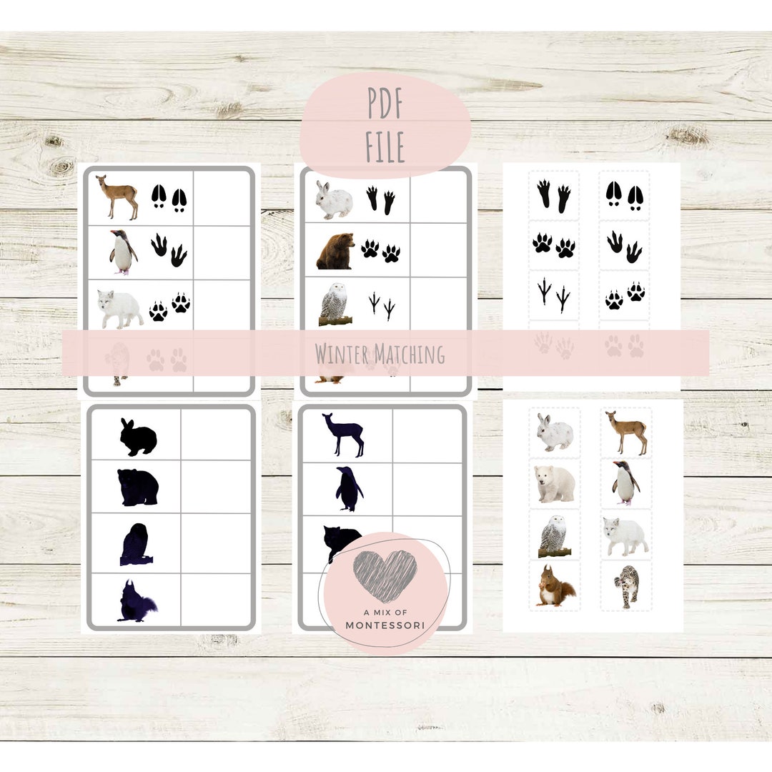 Winter Animal Matching Printables - Etsy