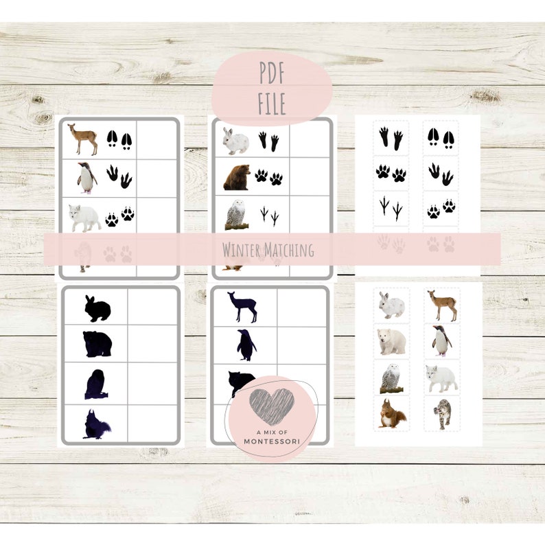 Winter Animal Matching Printables - Etsy