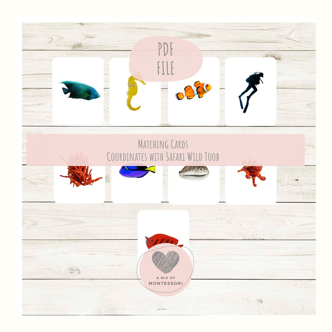 Coral Reef Toob Matching Cards for Safari Toobs Montessori Language ...