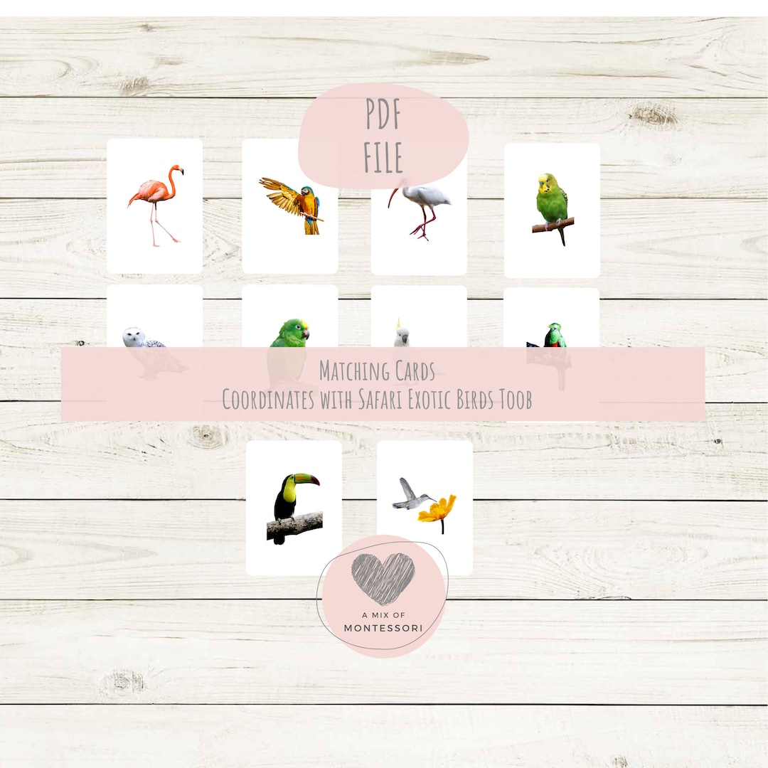 Exotic Birds Matching Cards for Safari Toobs Montessori Language Cards ...