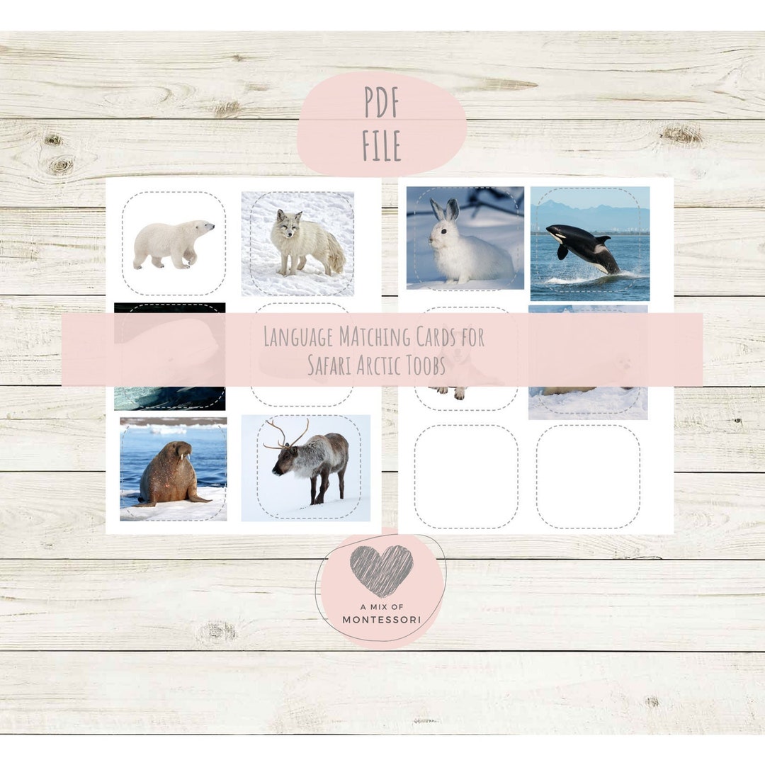 Arctic Toob Matching Cards for Safari Toobs Montessori Language Cards ...