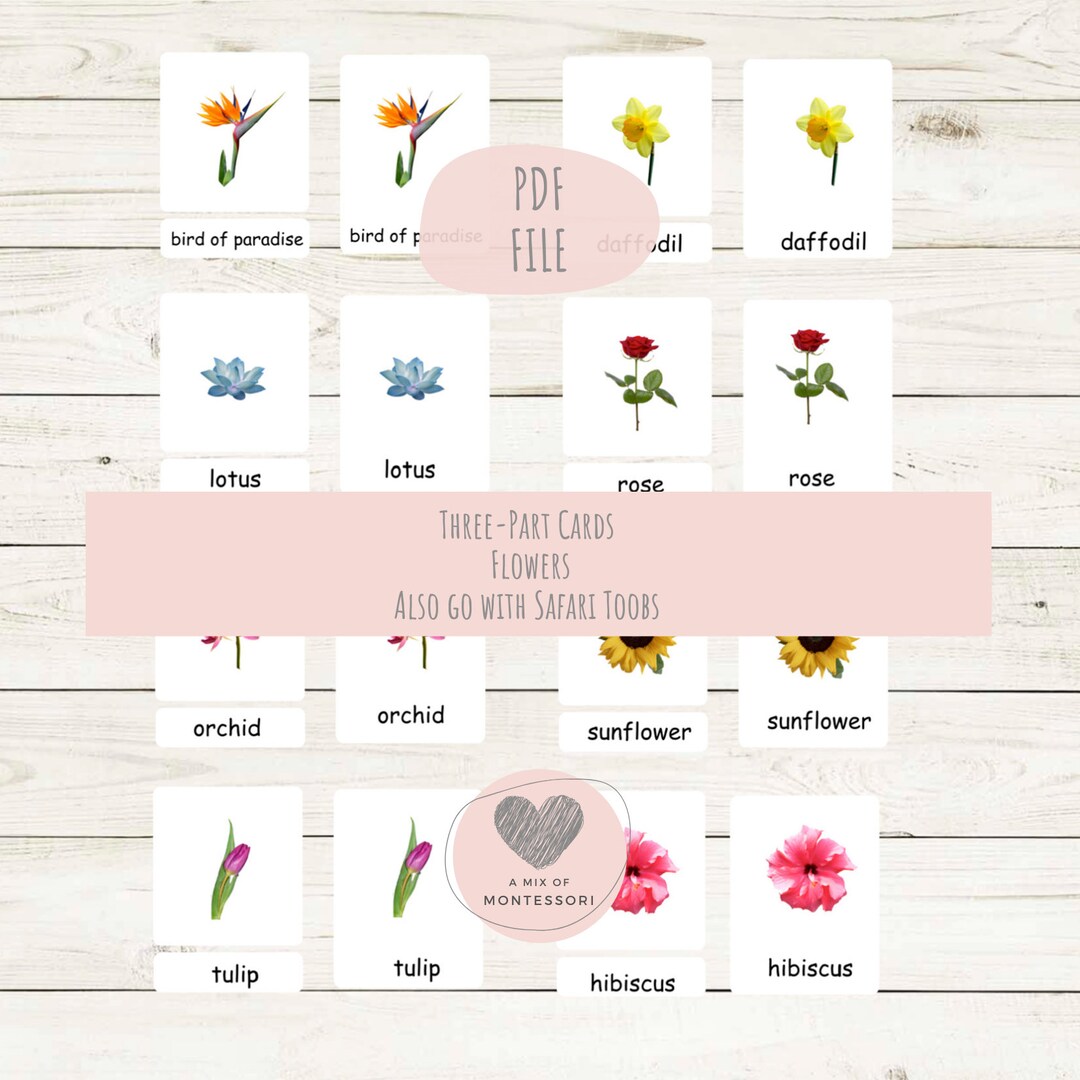 Montessori Three-part Cards Flowers Nomenclature - Etsy