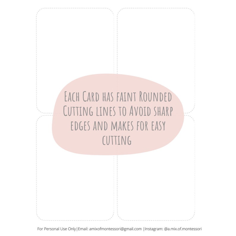 Flower Matching Cards for Safari Toobs Montessori Language - Etsy