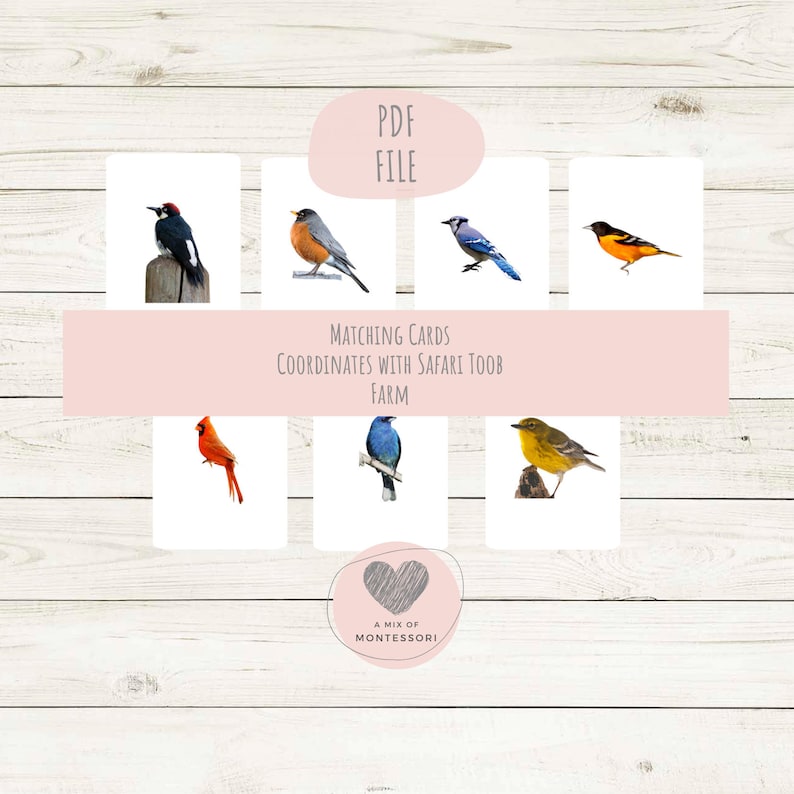 Backyard Birds Matching Cards for Safari Toobs Montessori Language ...