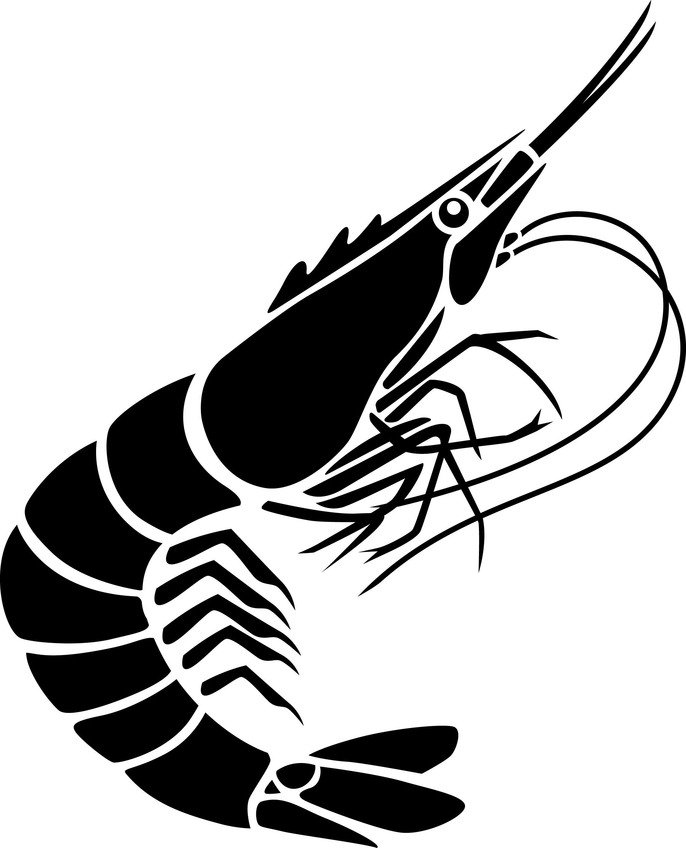 Shrimp Decal, Cherry Shrimp - Etsy