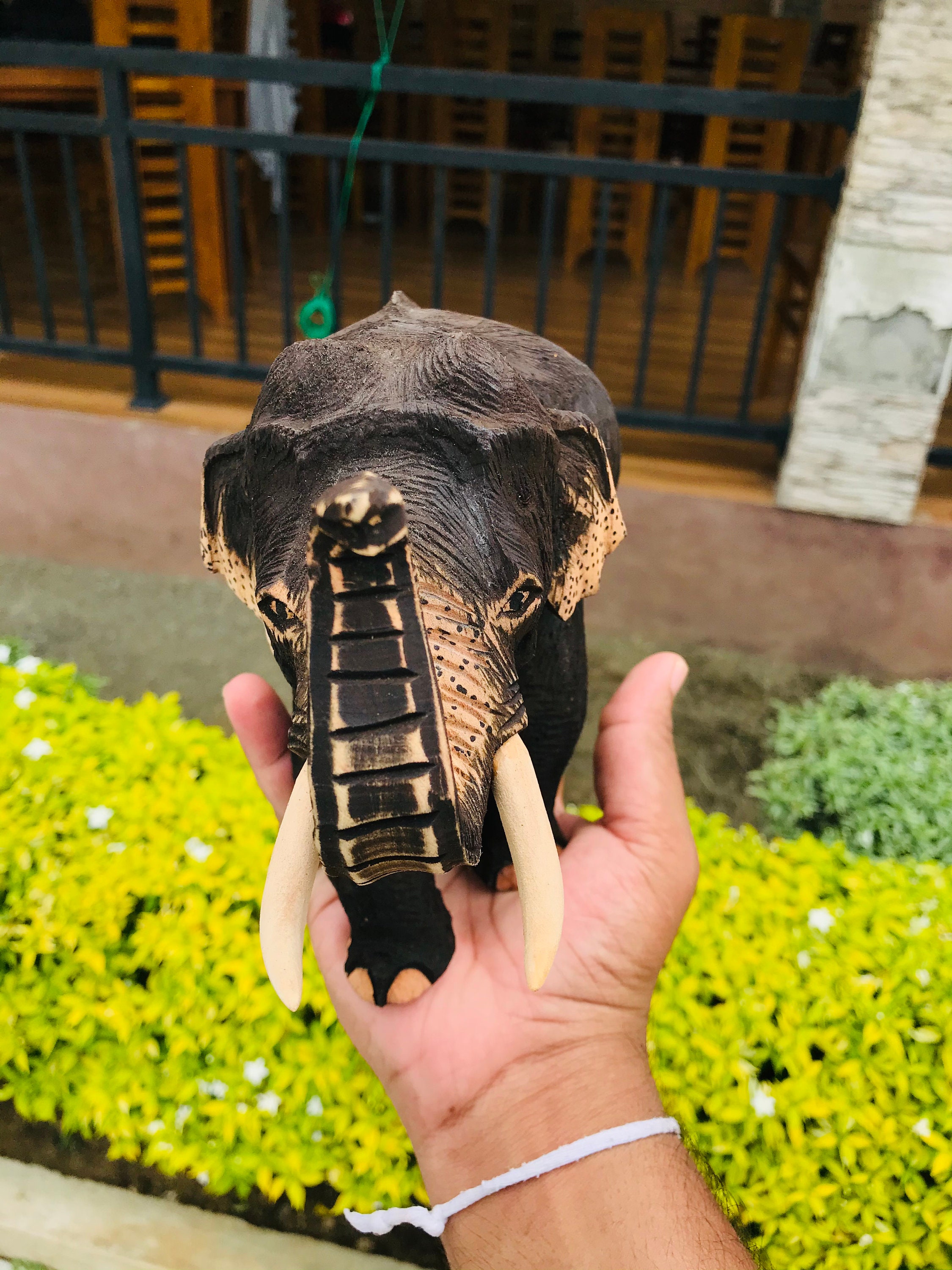WOODEN ELEPHANT Trunk Srilankan Wild Wood Curved Hand Wood Figurine ...